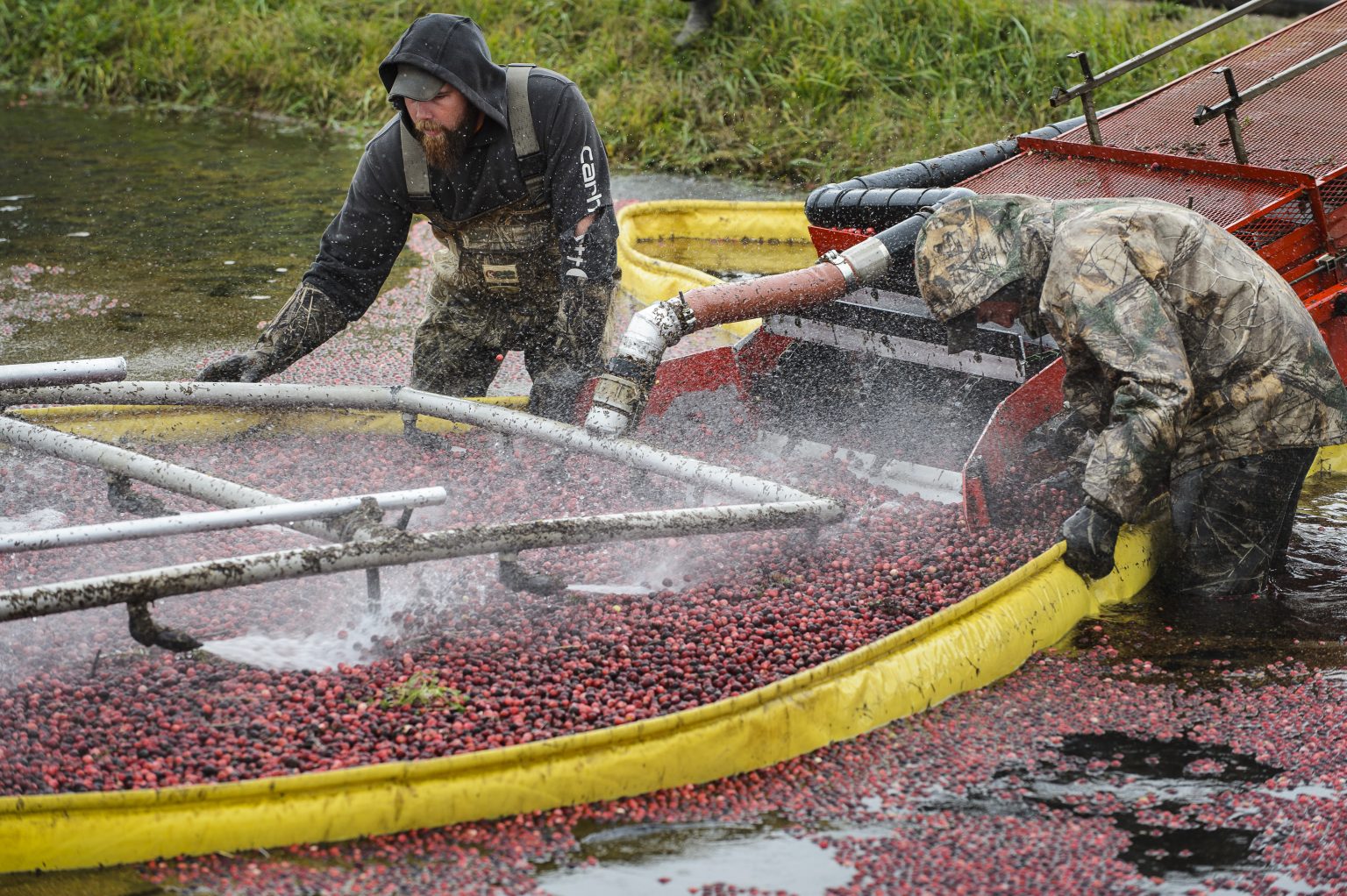 REACH Program – Real-world Evidence to Advance Community Health – UW ...